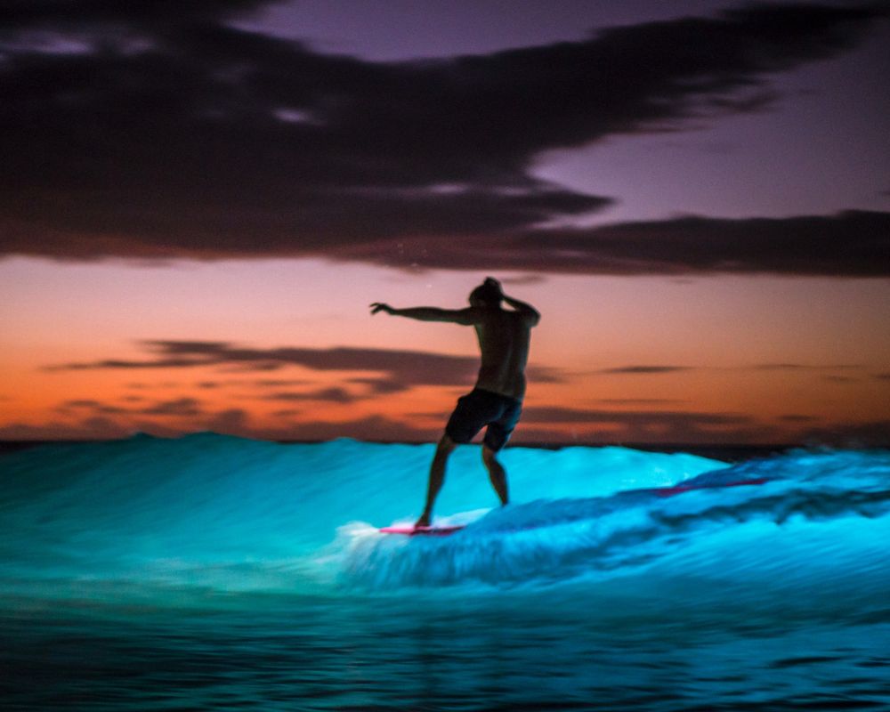 Jake Marote Captures Bioluminescent Waves