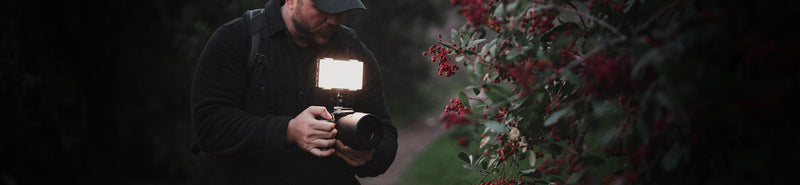 Macro Photography Lighting - Best LED Lights For Macro Photographers ...